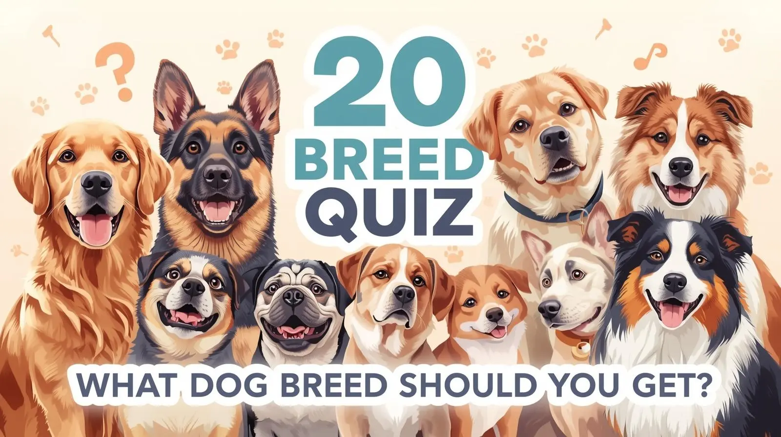 Ultimate 20 Dog Breed Quiz: What's Best Dog Breed for Me?